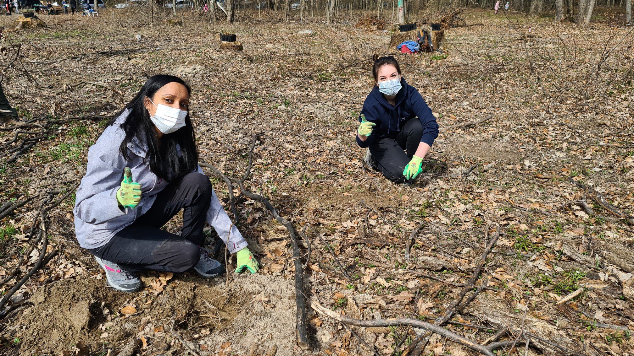 Assist Software Celebrates Spring By Planting Trees Assist Software Romania 